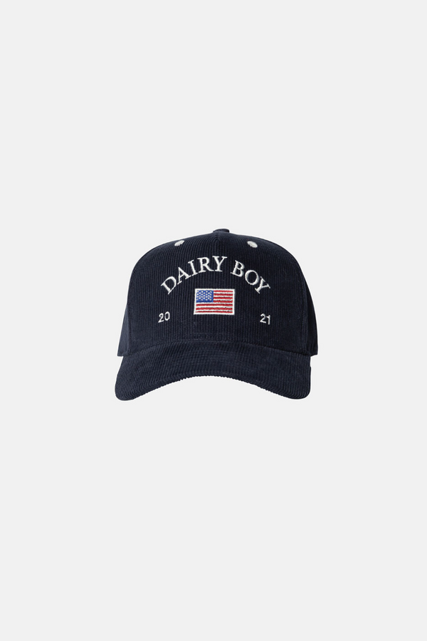 Hats - Dairy Boy